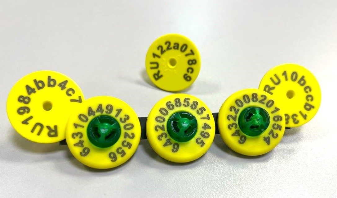 «Силтэк» запускает промышленный выпуск электронных ушных бирок ...